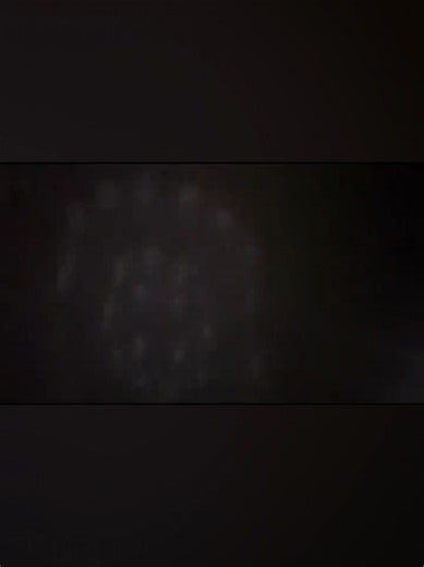 Something Was Following Them.. credit:@VerasaceX3 #scary #haunted #paranormal #darkmoose