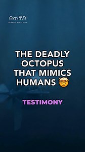 The deadly octopus that mimics humans. | Unexplained on Gaia