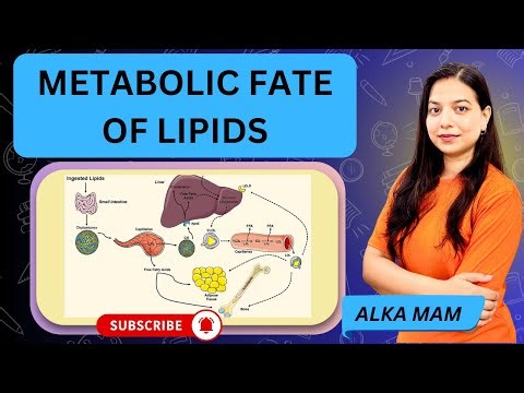 Metabolic Fate of Lipids | Lipid Metabolism Simplified | in Hindi | ALKA PANDEY