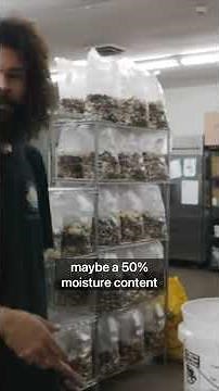 Producing Grain Spawn for Mycelium Inoculation |Southwest Mushrooms