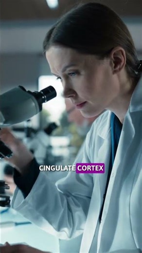 Did You Know Rejection - Physical Pain? 🤯