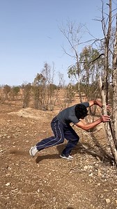 237K views · 1.2K reactions | Broken Tree Trunk !! #style #taekwondo #Amazing #travel #reels #Sports #Fitness #motivation #life | Yassine khouira | Facebook