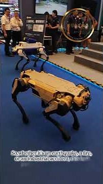 The Future of Rescue is HERE WUBA Intelligent Rescue Robot Demo| Canton Fair 2025 Tech Innovation