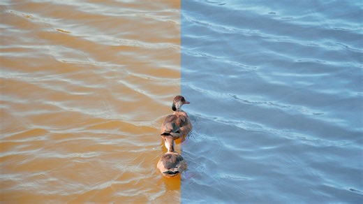 减去干扰色，颜色更干净