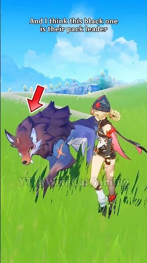 Look what I found in Luna III early access!😆 #genshinimpact #shorts #jahoda #razor