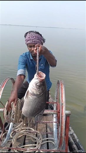 Wow! Amazing Hook Fishing Videos! Best Big Fish Catching! Old Technique fishing 06 #fishing #fish