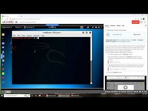 Using the chmod Command
