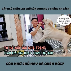 385K views · 10K reactions | Thăm lại Kiwi sau hơn 9 tháng xa cách, công chúa hề, công chúa hôi nách, công chúa ghẻ Kiwi được tặng 1 món quà bất ngờ mà khiến nàng xấu hổ cơ chứ | Củ Cải | Facebook