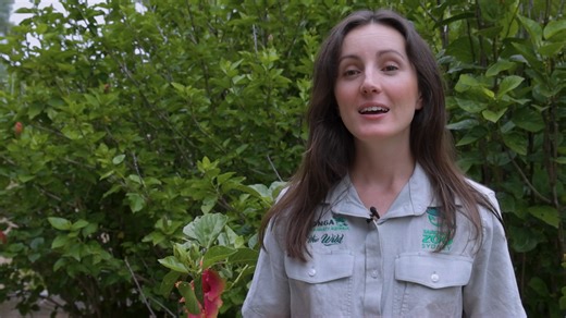 1.3K views · 136 reactions | We are de-LIGHTED to announce that we...