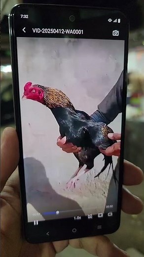 Vivo Y200 5G Titanium Silver – 4K Video Camera Test & Real Quality Review