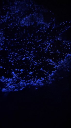 Understanding Luminol Reaction with Hemoglobin at Crime Scenes