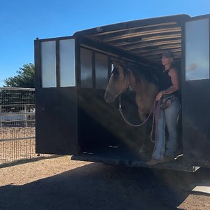 Loading shouldn’t be a fight. Learn to naturally understand and resolve these struggles Gain Access to my Problem Behavior Guide Course and the steps to managing those difficult situations in this $6 Training Series! ACT NOW and get my Trailer Loading Video Training Series FREE! Julia’s training from fundamentals, communication understanding, reinforcement techniques, and her CO-RE Training Method puts your horse’s personality, emotions, and needs first—because that’s where real progress begins.