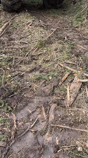 🌳🌳🌲🌲Seilwindenunterstütze Fällung mit @timbco_gmbh 🌲🌲🌳🌳 -Keine bezahlte Werbung- #forsttechnik #forest #forst #forestry #wald #holz #holze #geilsterberufderwelt #holziholziholz #logger #logging #skidder #skog #skogsbruk #holzfäller #forstmaschinen #holzrücken #holzrücker #forstwirtschaft #forstwirt #werner #wftrac #wftrac2865 #klemmbankschlepper #timberjack #stihl #stihlchainsaw | Forstunternehmen Metzger/Kammerer Gbr