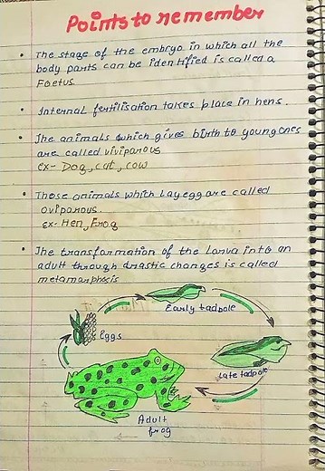class 8 science chapter 6 Reproduction in animals#notes