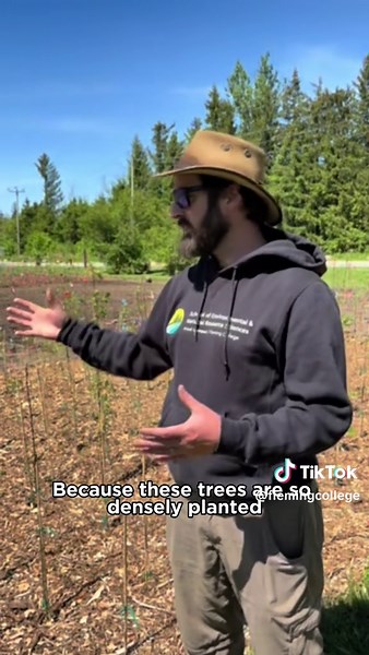 If you've been to Frost Campus lately, you may have noticed the planting of the Miyawaki forest. 🌳🌿 Native, dense, and fast-growing, these mini forests boost biodiversity and fight climate change. Developed by Japanese botanist Akira Miyawaki, this method involves planting native species close together to simulate natural forests and promote rapid growth through competition. Visit the forest to see its growth and learn more about this innovative approach to reforestation!