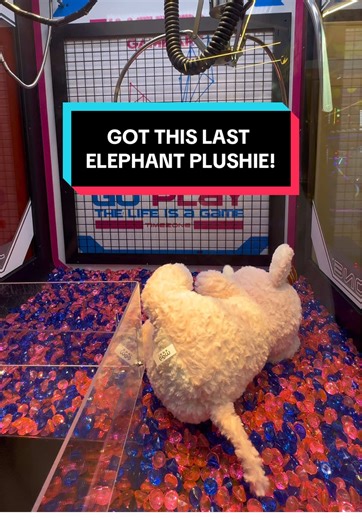 Claw Machine Tips: Winning the Last Elephant Plushie
