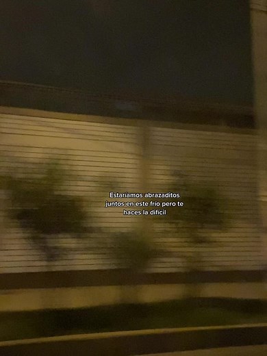 @elchicodelarosa on TikTok