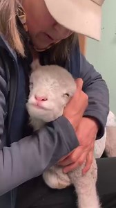 456K views · 32K reactions | Miss T came into our care 1 year ago...