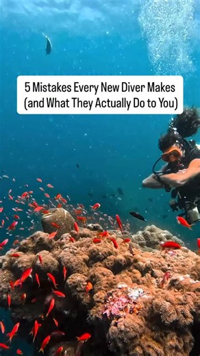 198K views · 1.1K reactions | Every diver learns from mistakes, but...