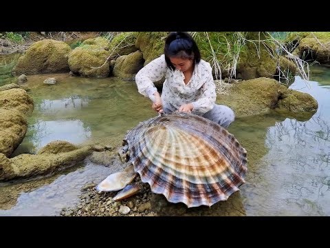Unleash the myriad charms of giant river clams and harvest colorful and dazzling pearls