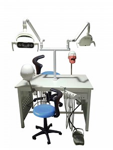 [Hot Item] Dental Phantom Head Dental Manikin Simulator for Training Practice