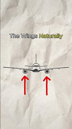 What is Dihedral? How Wing Dihedral Keeps Planes Stable