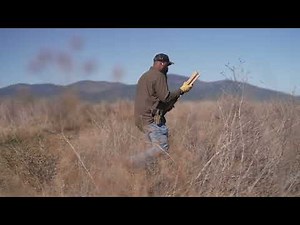 Rapid Force Level II Holsters - Your Essential EDC Security Upgrade