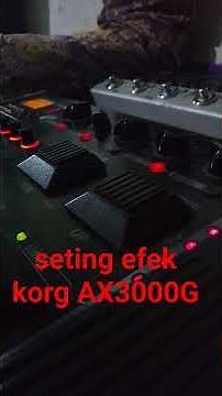 seting Korg Ax3000g
