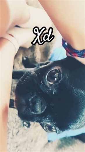 si parece un alien la verdad