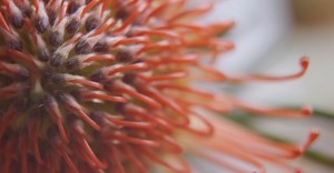 Video by ArtHouse Studio on Pexels