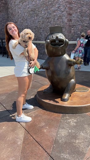 303K views · 8K reactions | Everything I ate my first time at bucc-ee’s! #foodie #reels #buccees #eating #fastfood #bbq | KarissaEats | Facebook