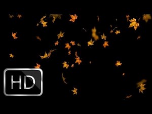 Falling Autumn Leaves moving BlackScreen Background loop