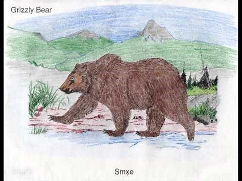 Salish Language Animals