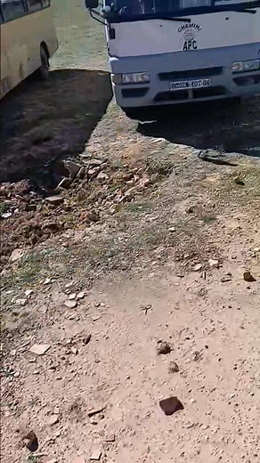 3.1K views · 18 reactions | Le club Jeunesse Sportive Aït Weghlis,...