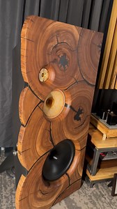 17K views · 2.4K reactions | Treehaus Audiolabs setup  Treehaus Audiolab 300B-2 SET power tube amplifier ($24,000) SME Model 12 MK2 turntable with SME Series V tonearm ($15,599) Treehaus Audiolab preamplifier ($19,000) Treehaus LCR phono preamplifier ($24,000) Pinto’s Phantom loudspeakers ($29,000/pair) #hifi #audiophile #loudspeaker #highendaudio #music #loudspeakers #highend #turntable | Audiophiles.eu | Facebook