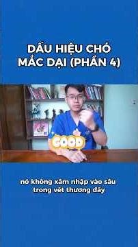 Cảnh Báo: Dấu Hiệu Nhận Biết Chó Dại Và Biện Pháp Xử Lý Khi Bị Chó Cắn (Phần 3) | Bác Sĩ Trung