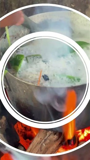 Part Three) Primitive Life Cooking – Huge Fish Soup Over Fire in the Wild Forest