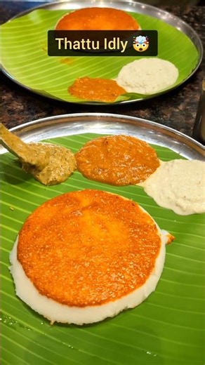 Coimbatore Famous Ghee Podi Thatte Idli review 🤤🔥