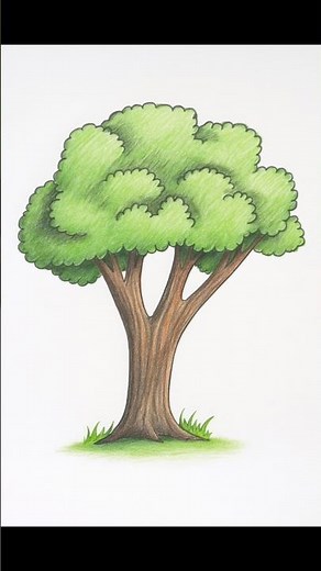Drawing a Beautiful Tree with Color Pencils | Easy & Realistic Art #drawing #painting #art