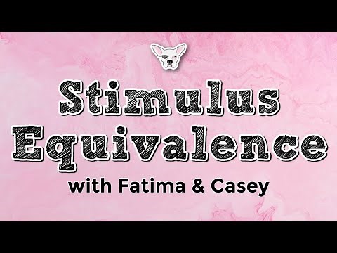 Stimulus Equivalence with Fatima & Casey