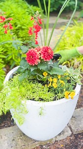 4.6K reactions · 541 shares | Planting hack we love: use empty pots to shape your soil first—perfect fit every time! ✨ #PlantingTips #ContainerGardening #GardenHack #GreenThumb #SpringGardening #PrairieGardens #JeffreyAlans | Prairie Gardens | Facebook