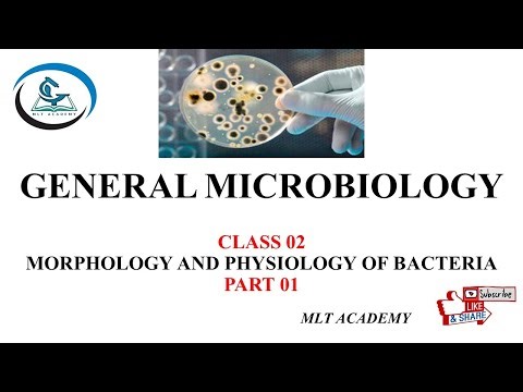 |GENERAL MICROBIOLOGY CLASS 02| MORPHOLOGY AND PHYSIOLOGY OF BACTERIA PART 1|