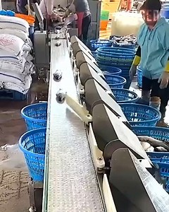 Food Industry Machines That Are At Another Level 1 | Devil Azzu YT