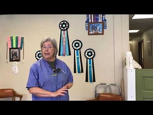 Animal Science Careers 2020