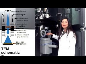 An overview of the transmission electron microscope (TEM)