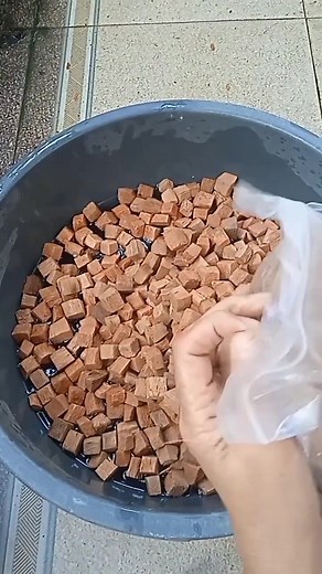 2.5K views · 12 reactions | Coco chip and coco fiber planting media must be soaked before use to remove tannins that can inhibit the growth of our orchids. #mediatanam #cocochipcocofiber #mediaanggrek #pecintaanggrek #tipsanggrek #orchidtips | Srie Hartati | Facebook