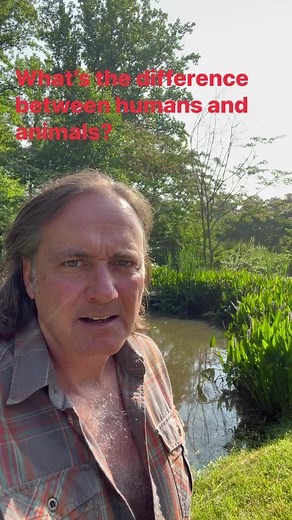 What’s the difference between humans and animals? #riddle #jokes #joke #reels | Sick Twisted Humor