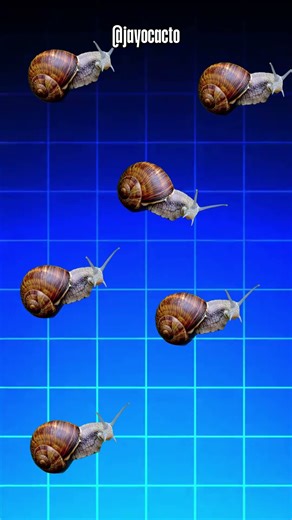 QUEBRAS TODAS ESSAS BOLINHAS!!