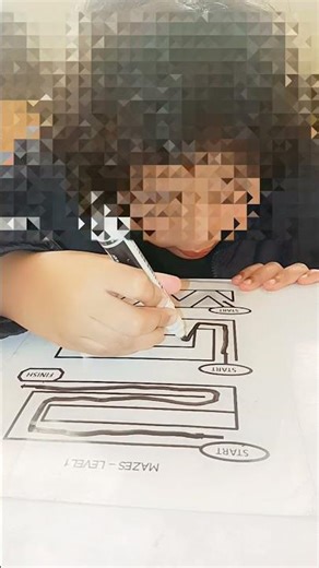 ABLLS-R Visual performance Task B27:Mazes Level 1 Objective: The student will be able to draw a line