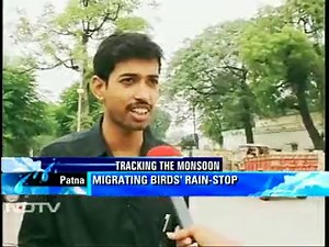 Monsoon Express: Virtual bird sanctuary in Patna